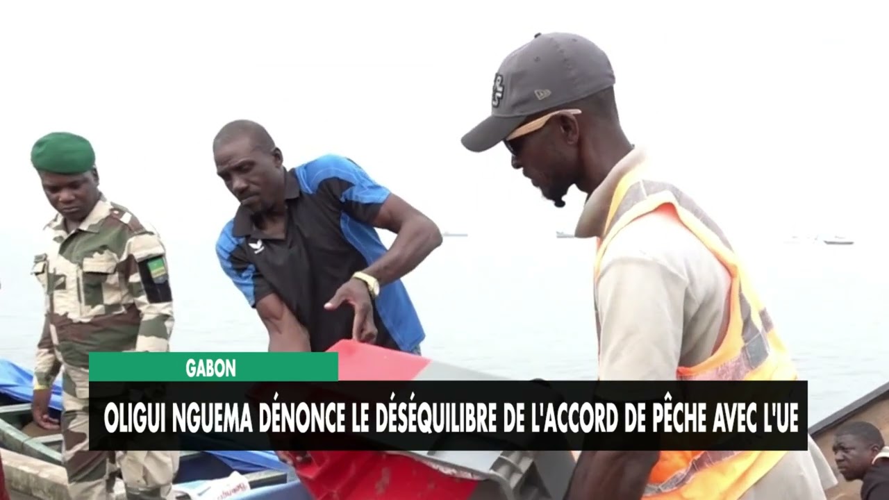 Gabon: les nouveaux Codes pénal et civil désormais disponibles au ...