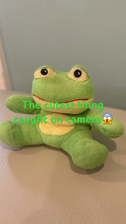 The Cutest Thing Ever Youtube