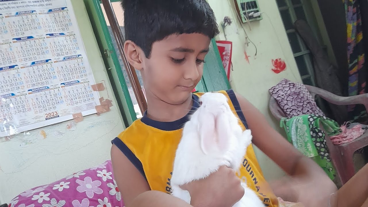 studious boys - YouTube