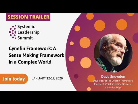 03. Dave Snowden - Cynefin Framework - Sense Making Framework in a ...