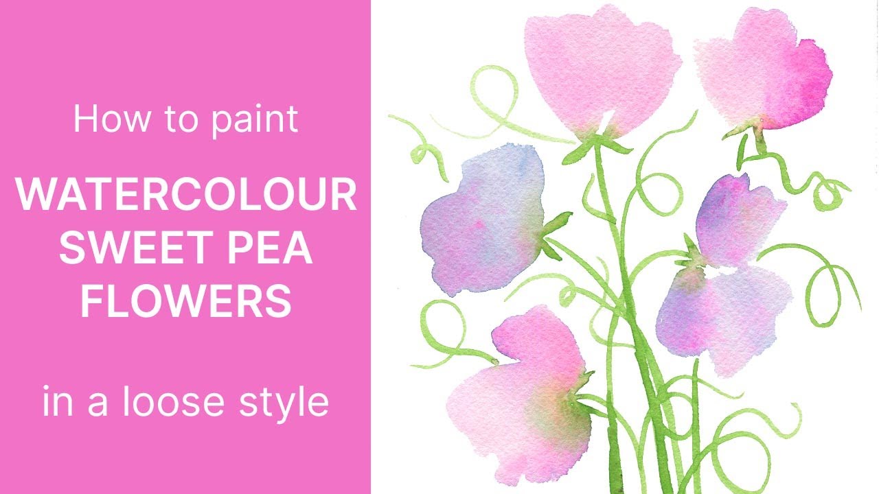 How to paint sweet peas in watercolour - Simple loose florals | Emily ...