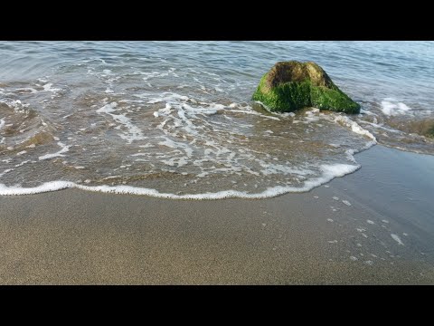 Trabzon Yomra sahil