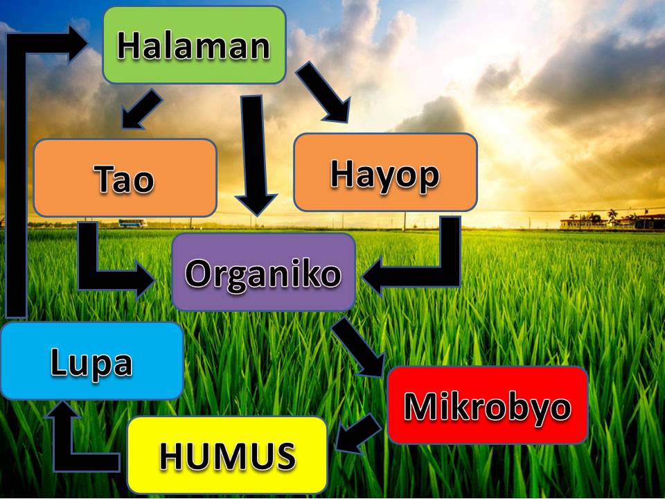 Praymer sa Organikong Pagsasaka VOL 1 - YouTube