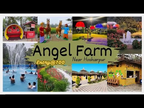 Angel Farm Hoshiarpur || Resort || Mini Kerla Punjab || Full Detail ...