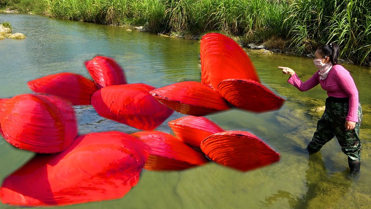 😱😱Beyond your imagination! A giant red clam nurtures so many amazing ...