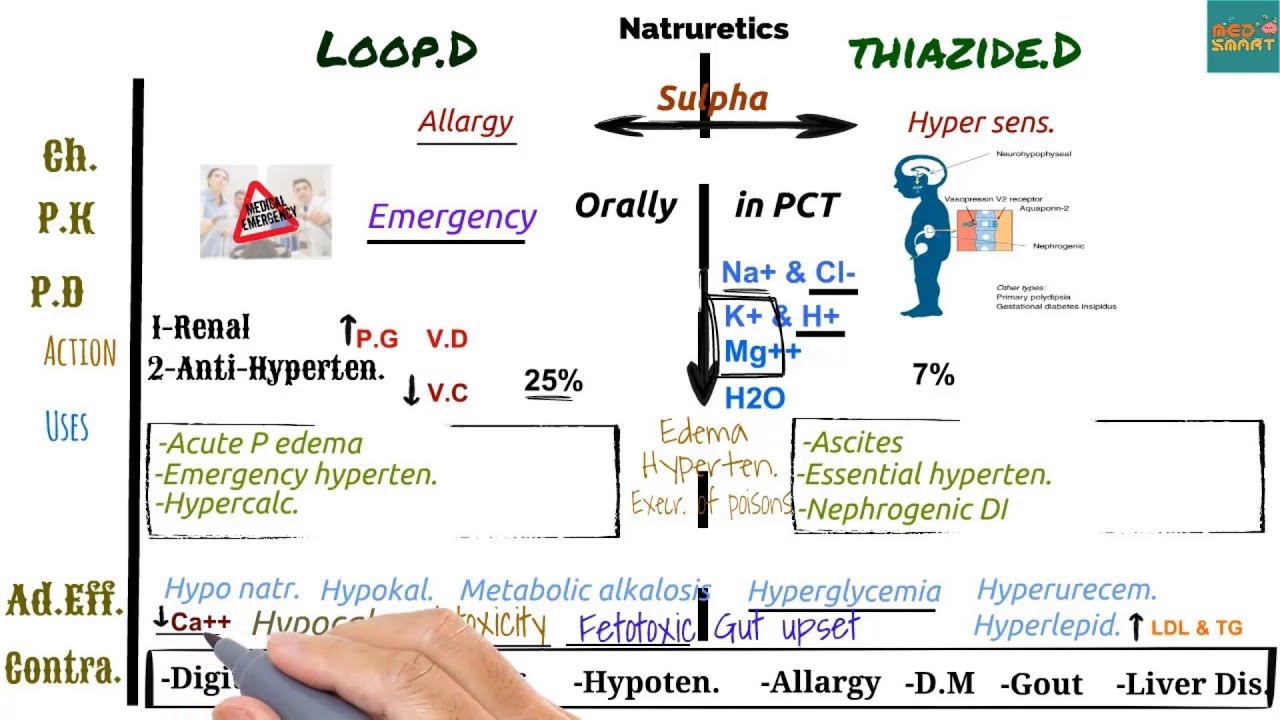 Thiazide Diuretics With Loop Diuretics at Michael Harbour blog Thiazide Diuretics With Loop Diuretics at Michael Harbour blog