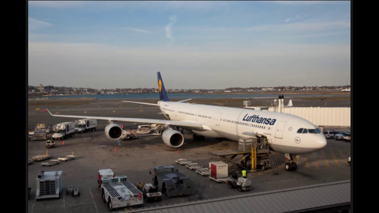 Small Galley Fire on Flight Forces Emergency Landing - YouTube