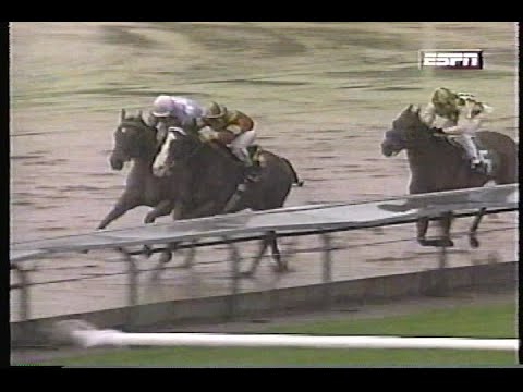 ESPN Race Horse Digest - February 18th 1998 - YouTube
