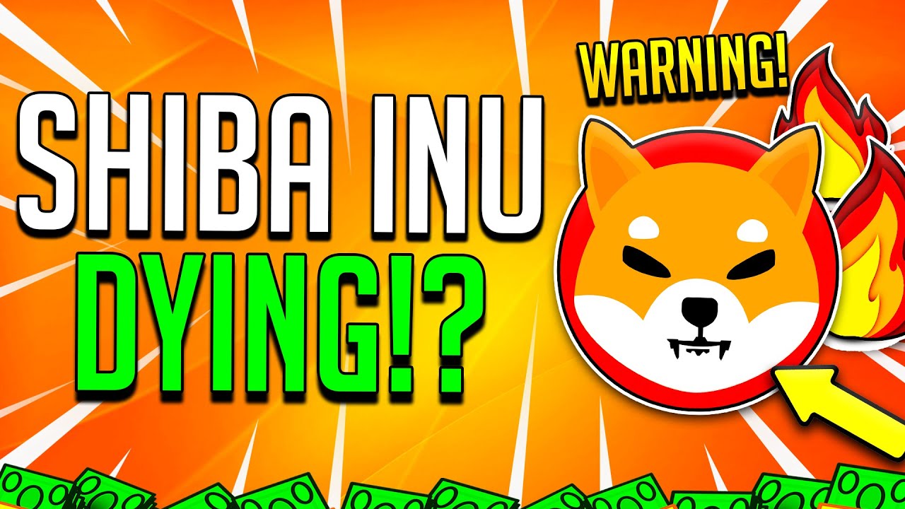 IS SHIBA INU DEAD? SHOULD YOU SELL ALL YOUR COINS TODAY!? - SHIB Review ...