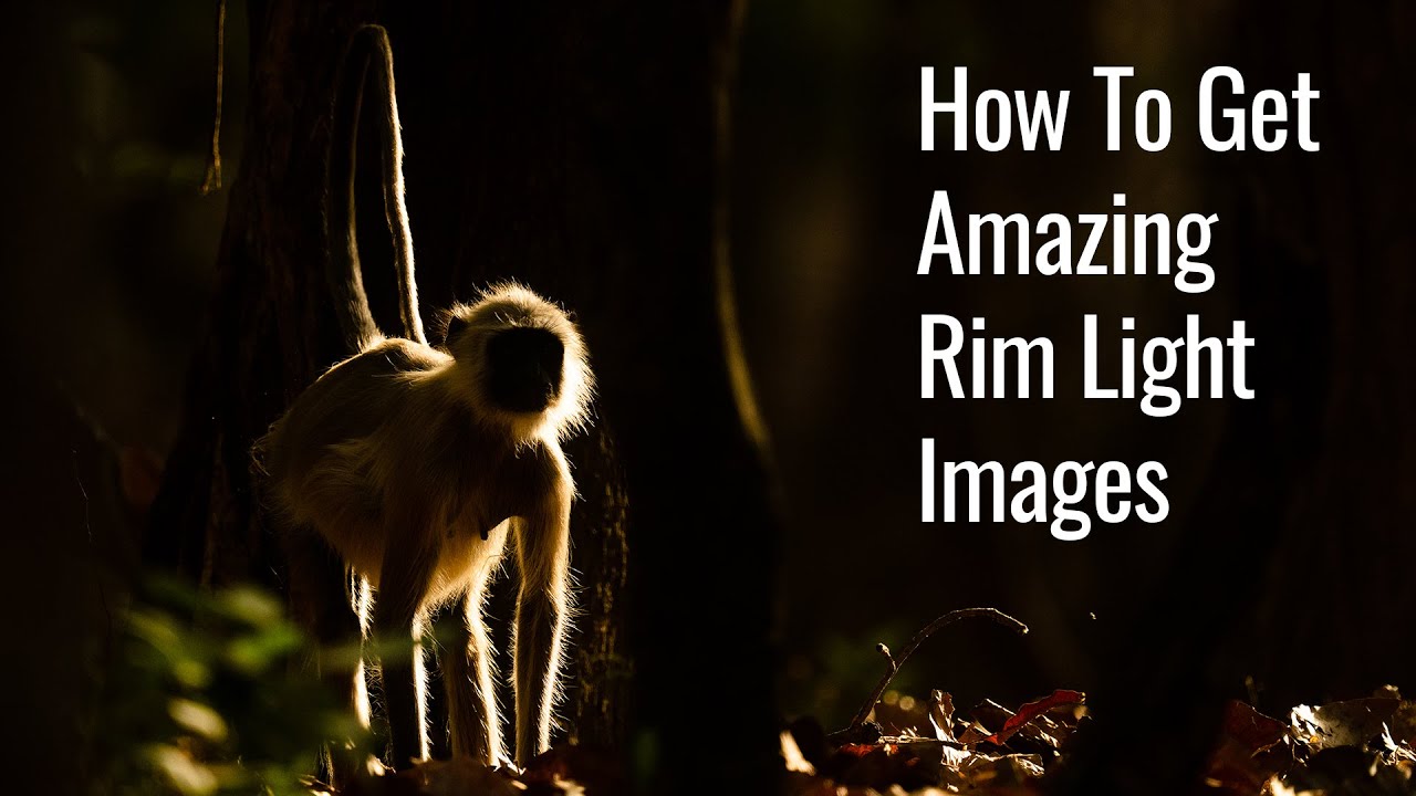 How to get Amazing Rim Lighting Images - YouTube