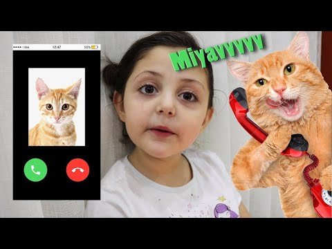 Afifenin Kedisi Telefonla Aradı!! مقالب في أخوي الكبير ليوم كامل !!