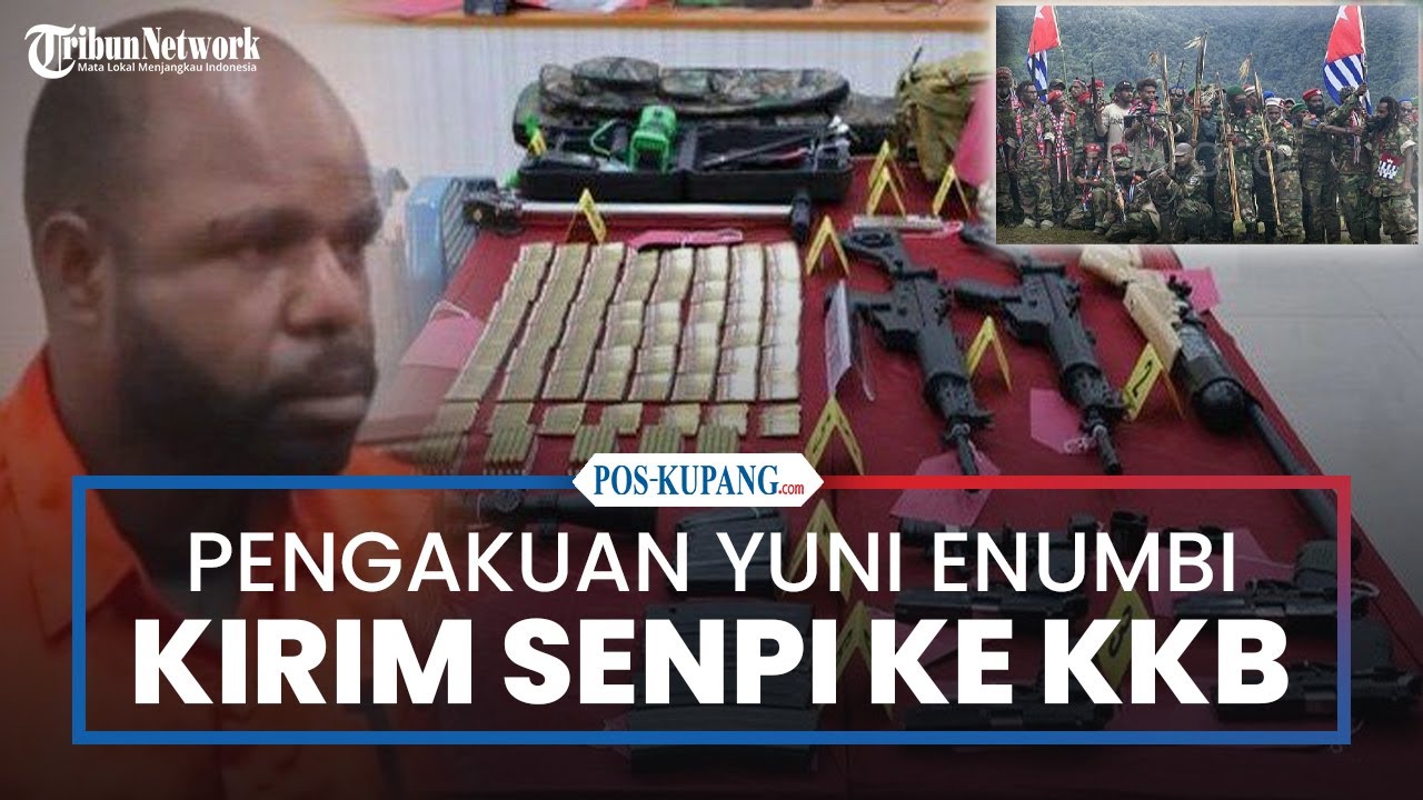 Pengakuan Yuni Enumbi, Mantan TNI yang Selundupkan Senpi ke KKB Papua ...