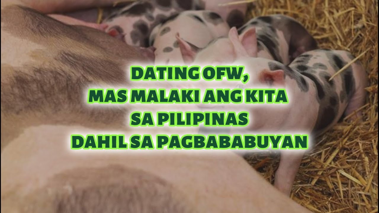 "Dating OFW, Mas Malaki ang Kita sa Pilipinas Dahil sa Pagbababuyan ...