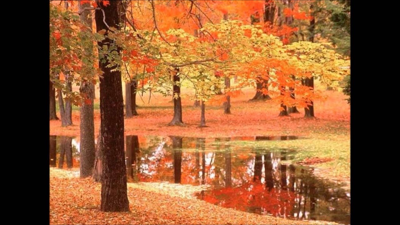 Nigel Pinto (Shania Twain) - You've got away - YouTube