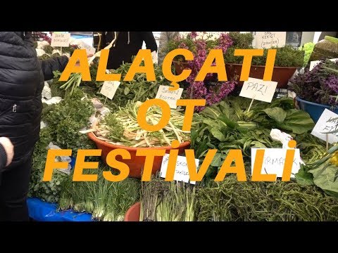 ALAÇATI OT FESTİVALİ 2019 ( Bedavaya Gezin :D:D )  / Ambiyans Videosu  / Vegan