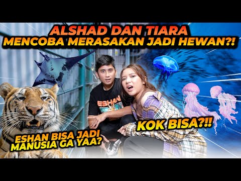 ALSHAD DAN TIARA SEHARI NGERASAIN JADI HEWAN?! JINORA ESHAN GANTIAN JADI MANUSIA GA YA?