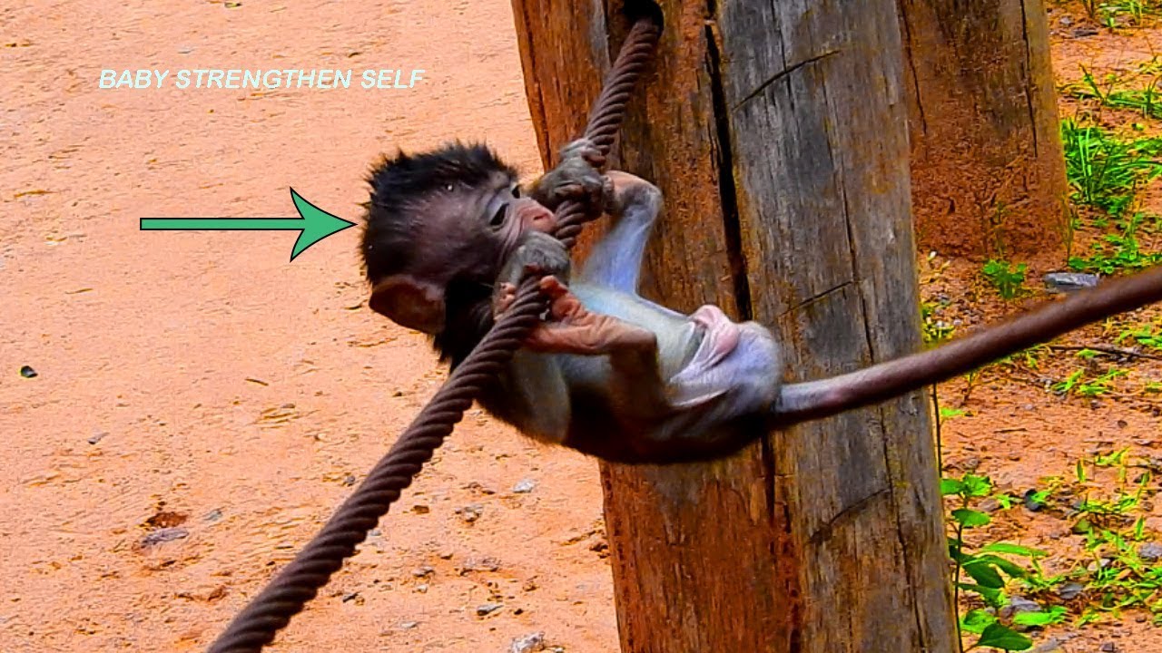 Baby Daniela Try To Strengthen Herself To Be Strong,Dana Give Up & Don ...