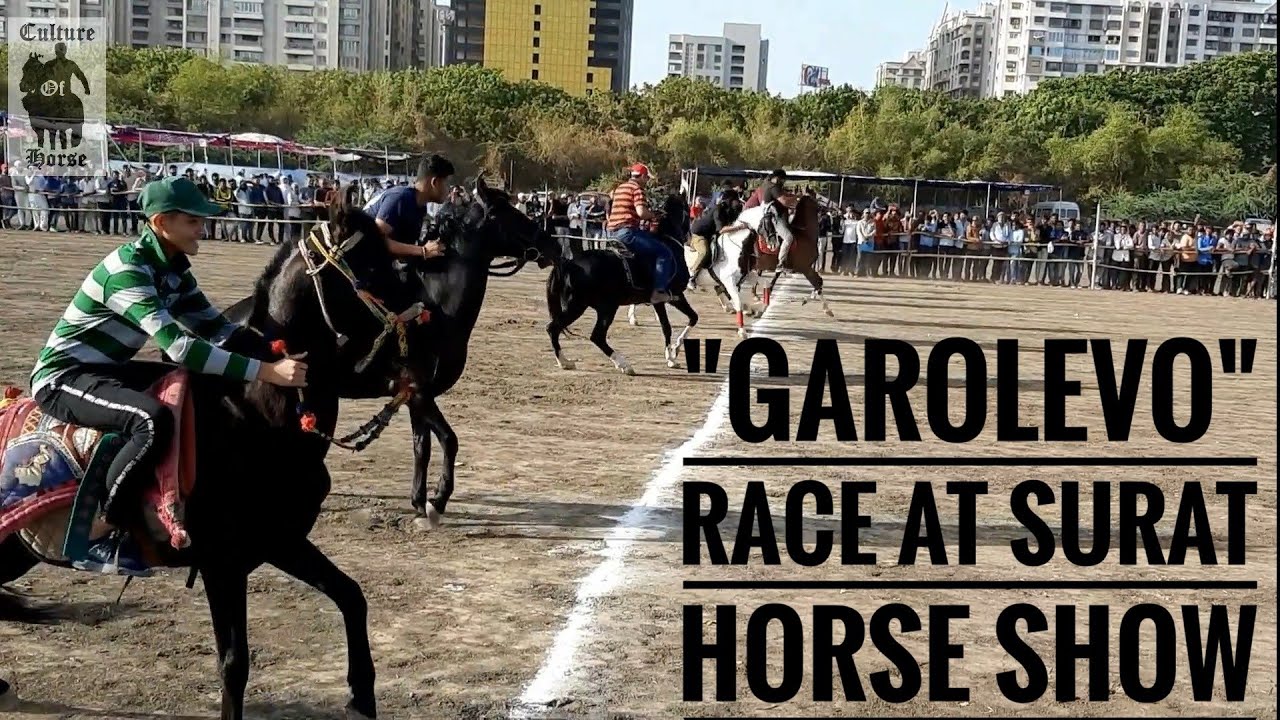 "Garolevo" Race At SURAT Mega Horse show 2020|CULTURE OF HORSE| - YouTube