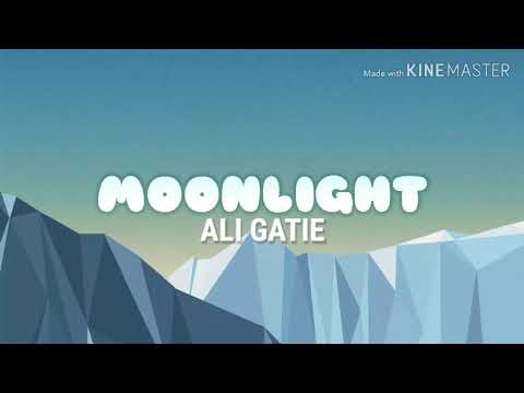 Moonlight lyrics :By Ali Gatie - YouTube
