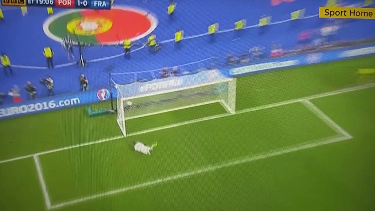 Eder scores amazing winning goal in UEFA EURO final - YouTube