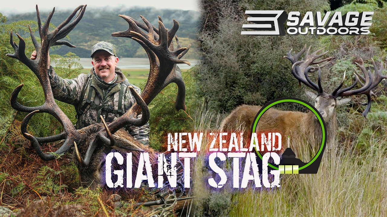 GIANT STAG Hunting in NEW ZEALAND - YouTube
