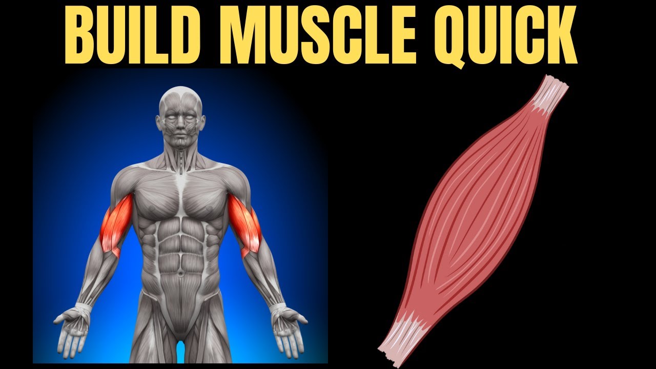 5 Surprising Ways to Speed up Muscle Growth - YouTube