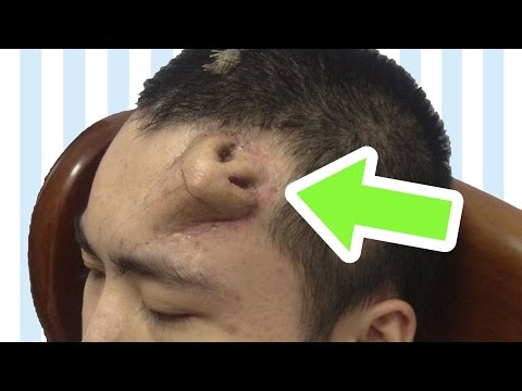 Patron Çıldırdı! 14 İlginç Fotoğraflı Bilgi