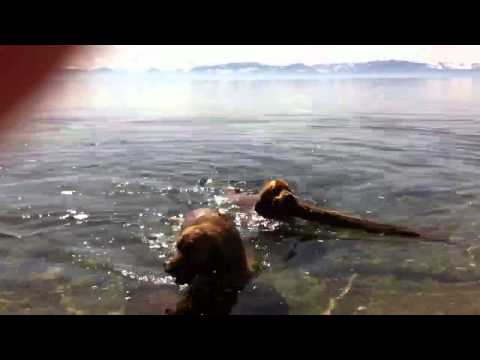 Mason in Lake Tahoe