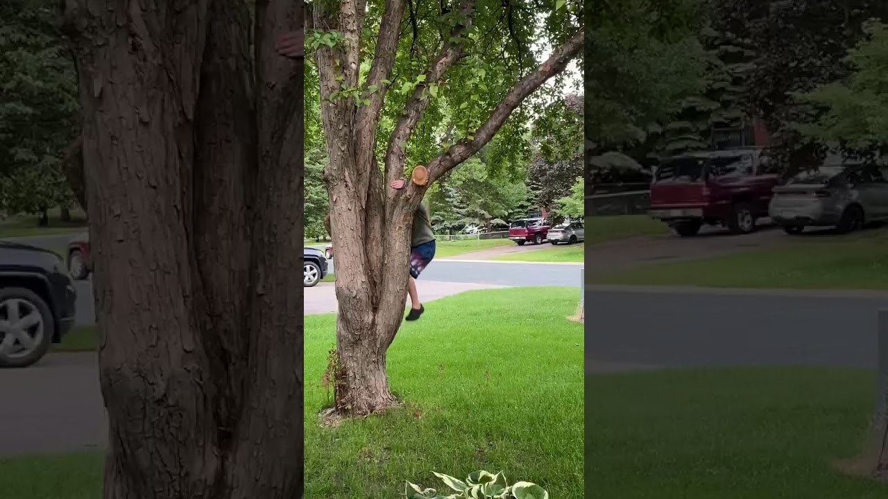 Hacker in a tree - YouTube