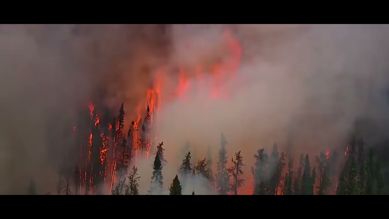 SAVE MOTHER EARTH - Embrace the nature, do not destroy it - WORLD ...