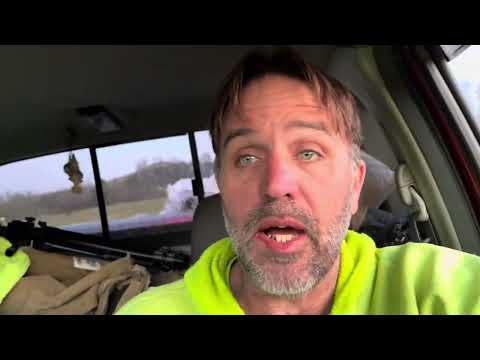 Calf’s are growing and doing well. Feeding cattle - YouTube