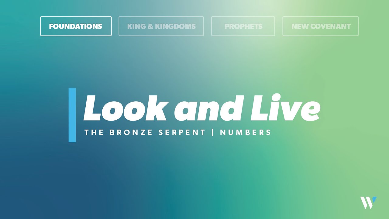 Look and Live | Numbers 21:4-9 | Wade Owens - YouTube