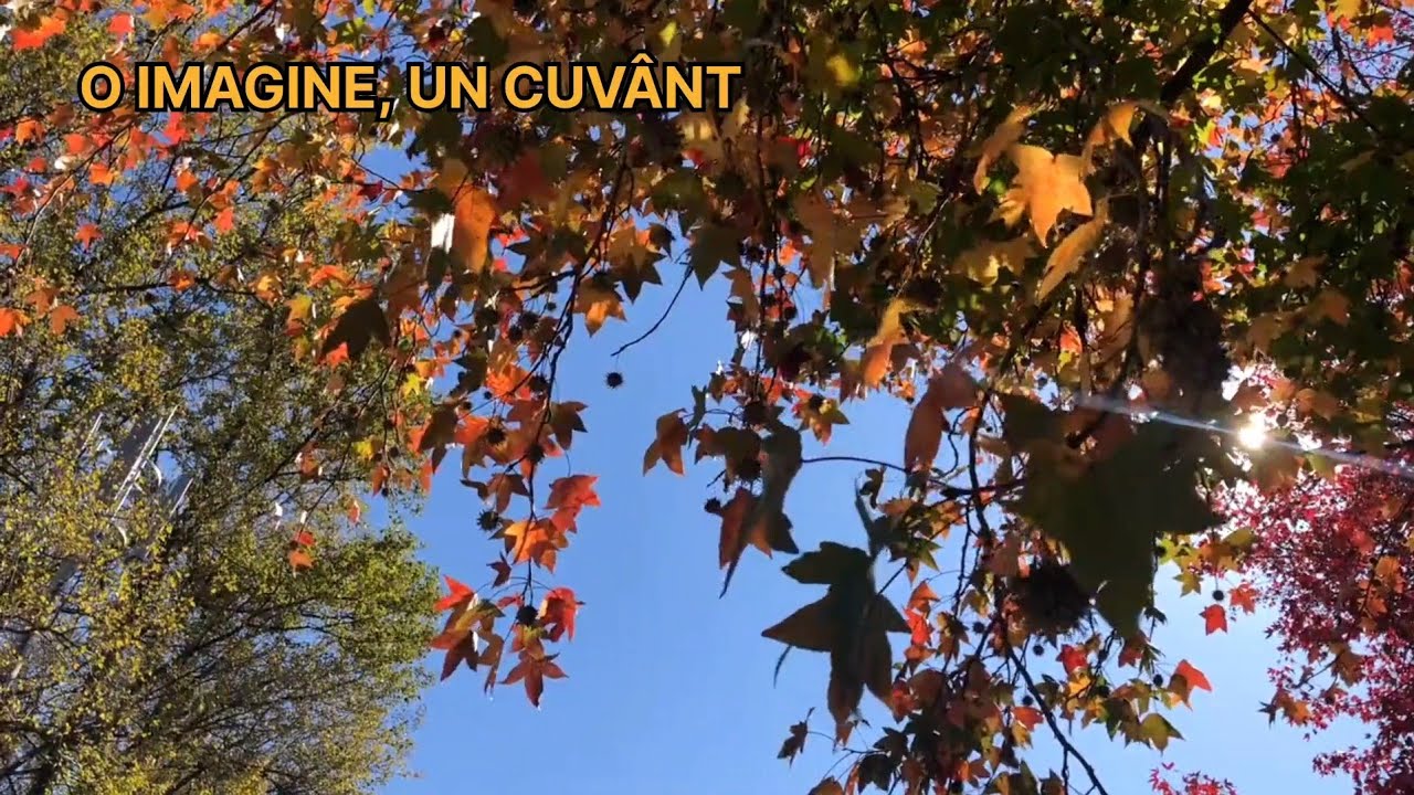 O IMAGINE, UN CUVÂNT - 06 11 2022 - YouTube