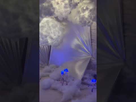 Immersed in wonder: The Potentialist Workshop’s 'Upside Down Land' is ...