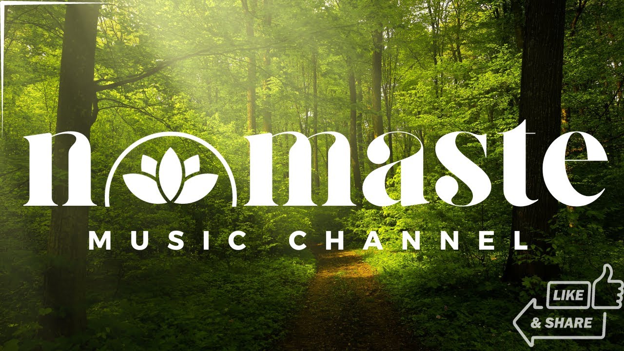 Calm Forest: Deep Relaxing Music for Stress and Anxiety Relief with ...