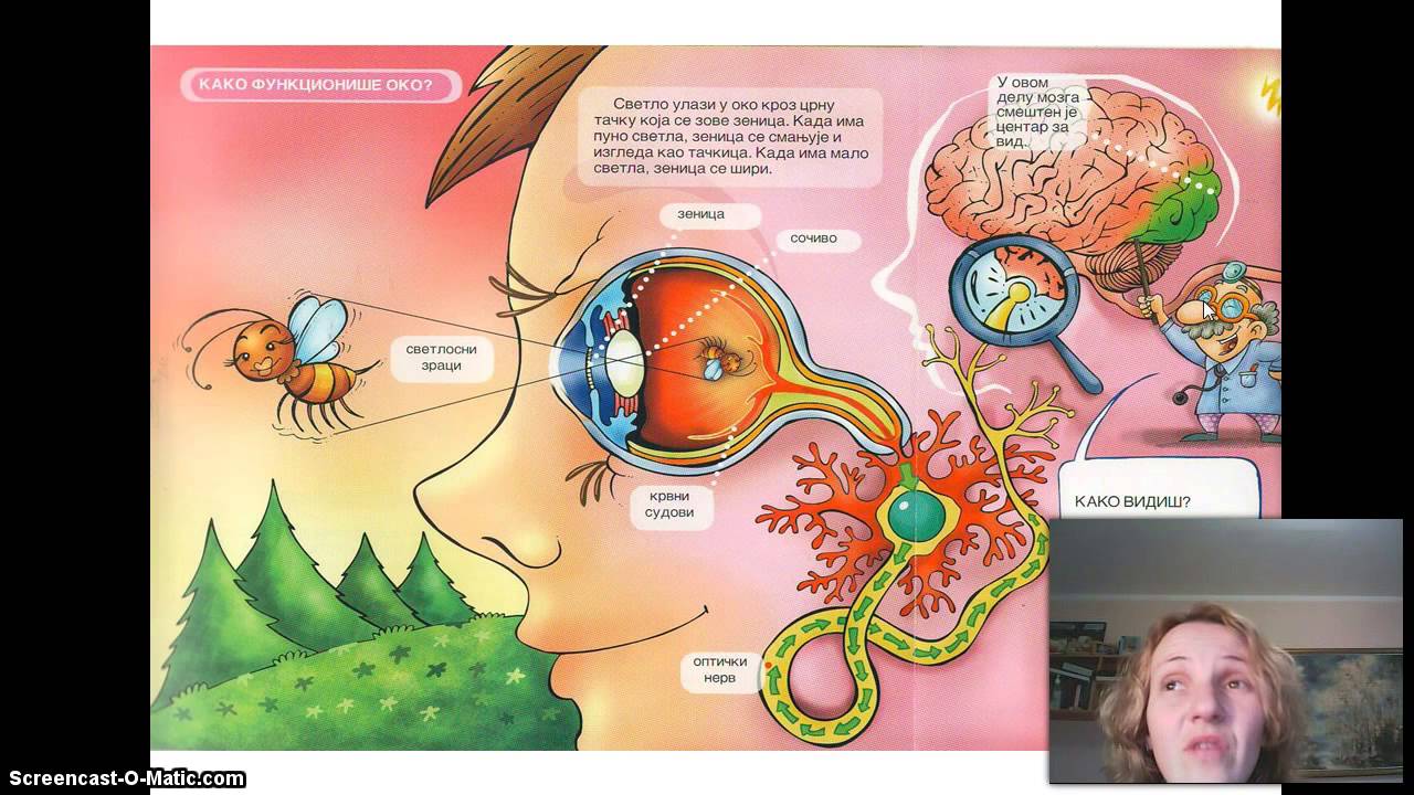 Izokrenuta učionica - Čulo vida - YouTube