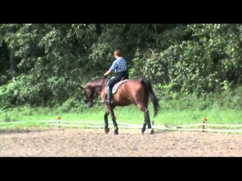 Diora, film z treningu