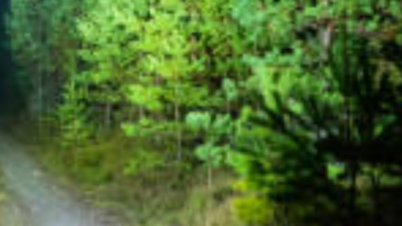 RJ Rakesh Ghatona Live Stream - YouTube