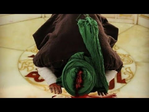 19 Ramzan Shab e Zarbat Imam Ali as Masaib Whatsapp Status | 19 Ramzan Status | 19 Ramzan Status