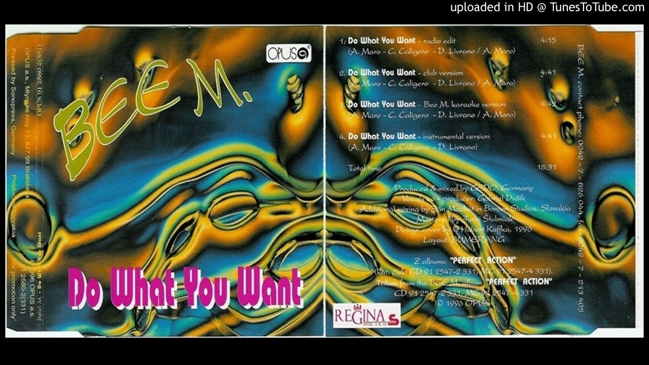 Bee M. ‎– Do What You Want (Bee M. Karaoke Version ‎– 1996) - YouTube