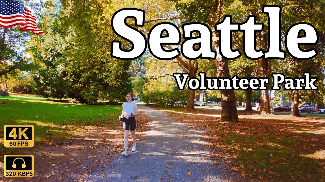 Experience A Seattle Fall Stroll With Binaural Audio In Stunning 4k ...