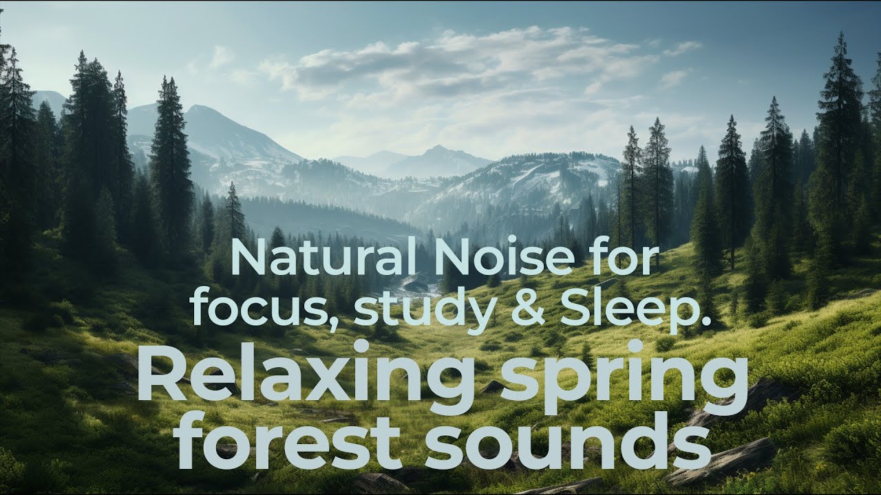 Relaxing Spring Forest Ambience, Early Morning Birds Chirping for ...