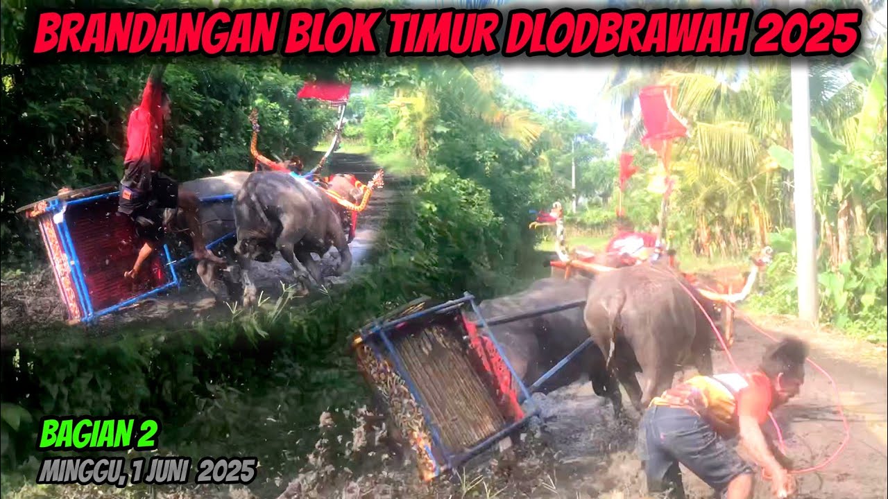 BRANDANGAN PERTAMA BLOK TIMUR,DLODBRAWAH 2025 BAGIAN 2 - YouTube