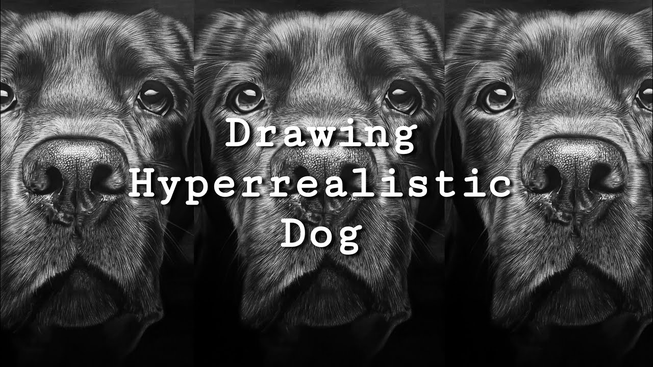 Drawing Hyperrealistic Dog in A2 Big Size Paper 🐶 ️ - YouTube