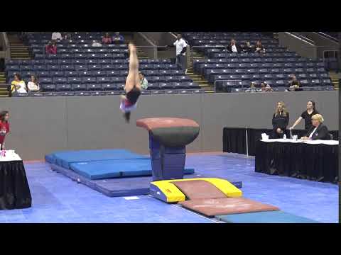 Ashley Resch, GymNasti | L10 Vault 2 2019 Region 5 Championships
