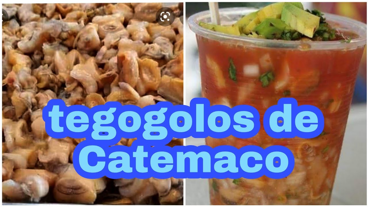 Como preparar los togogolos!! - YouTube