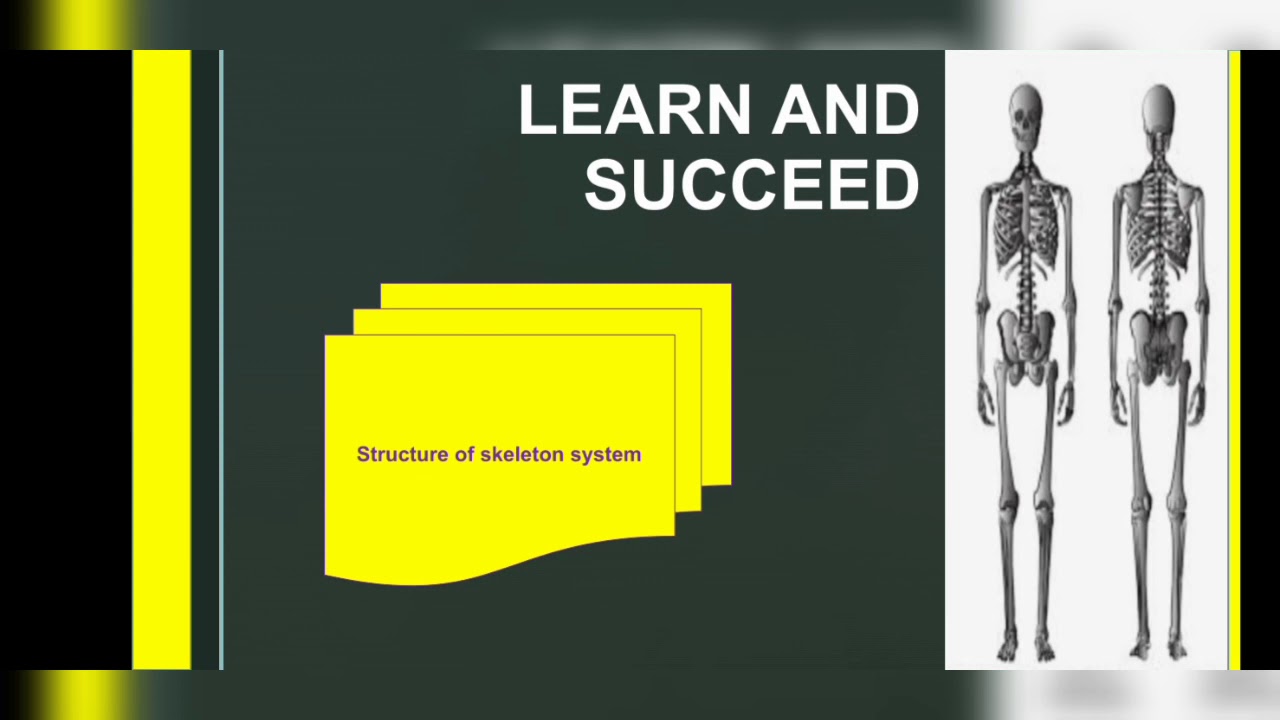 Science | Structure of human skeleton | Class 6 | Part-1 | CBSE | - YouTube