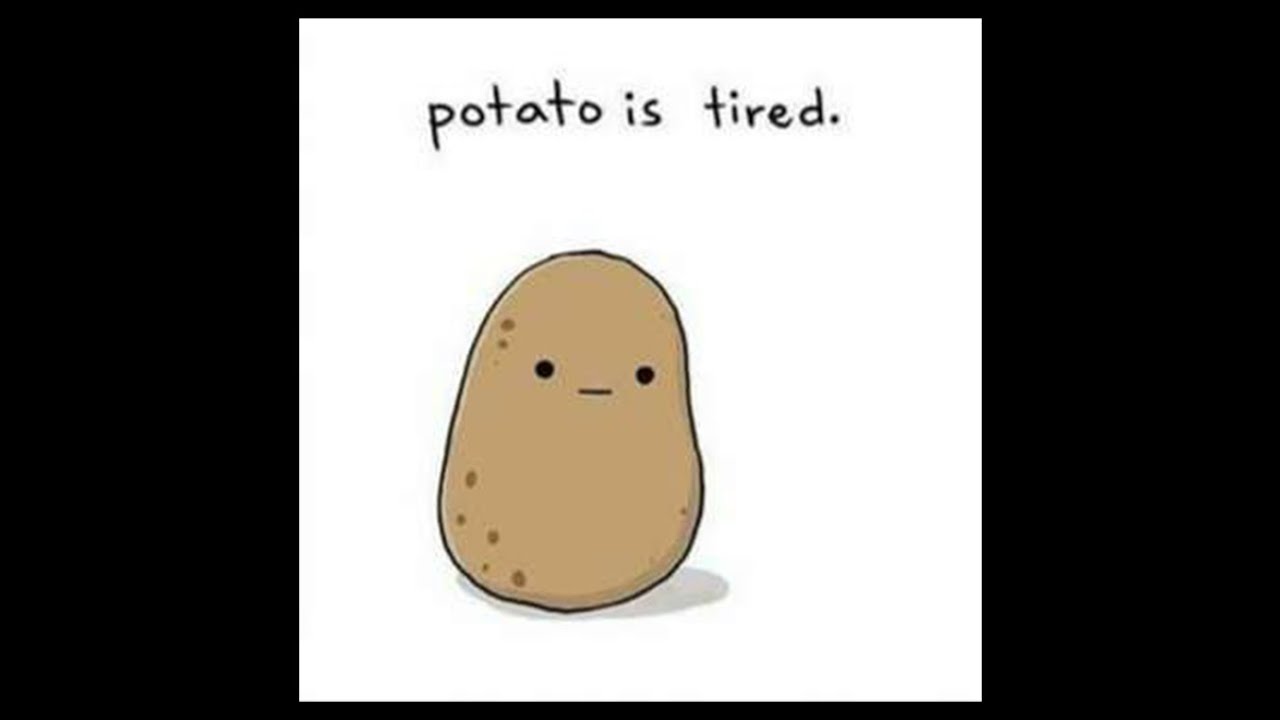 Potato is tired #soifw - YouTube