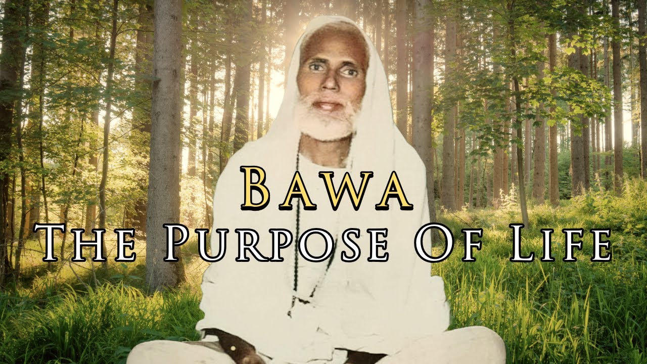 The Purpose of Our Birth in the Matrix-like World of Maya (Duniya ...