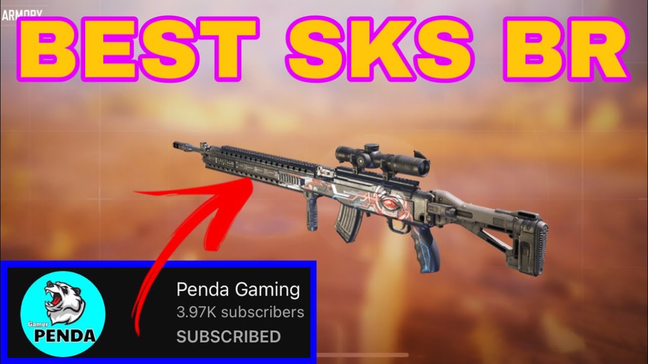 @Monsterking89 BEST SKS Gunsmith I CODM BR - YouTube